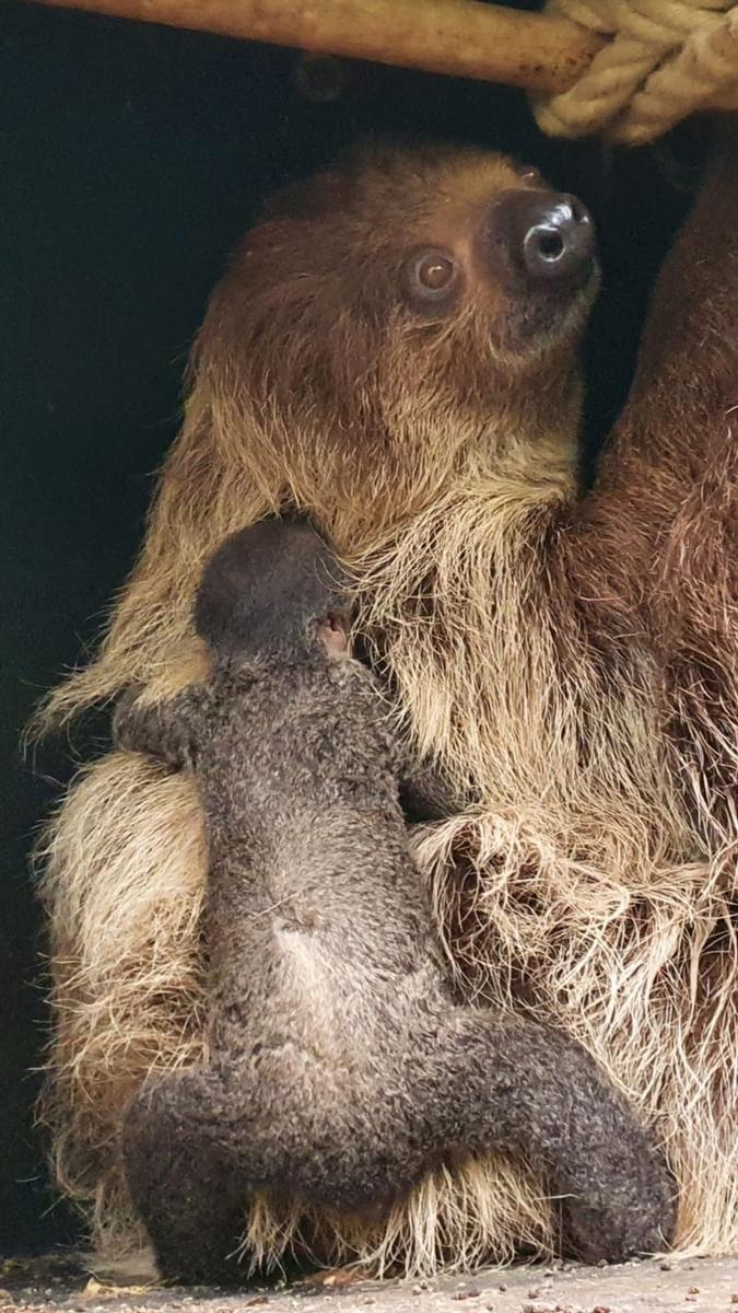 Tiergarten Straubing